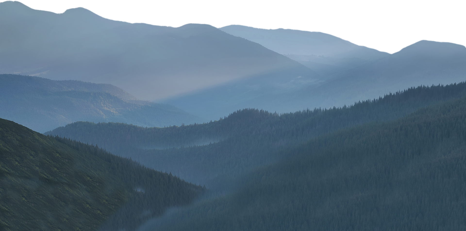 10 Best Revolution Slider Examples | Lion Tree Group