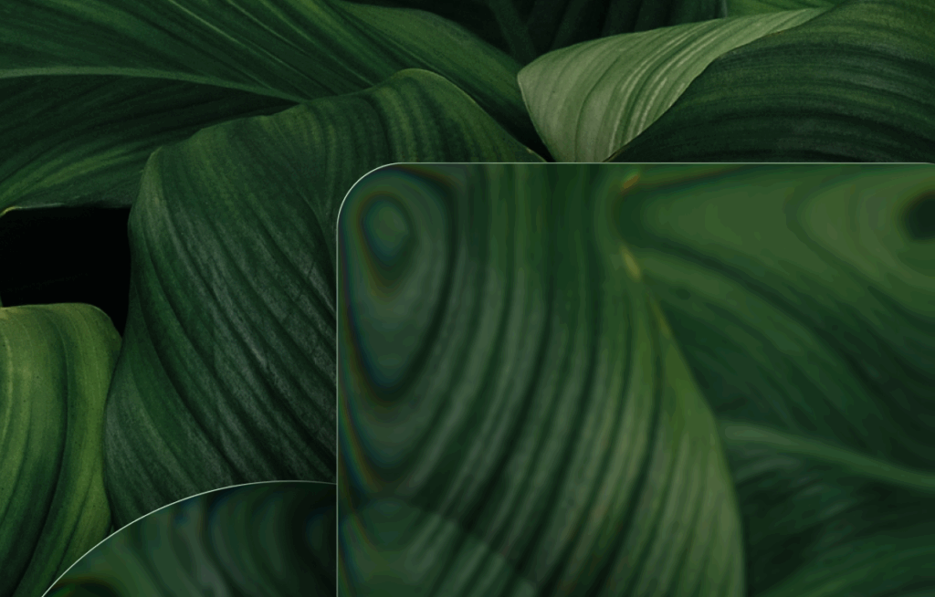 New Figma Update: Liquid Glass Effect - Lion Tree Group™ | Madison WI